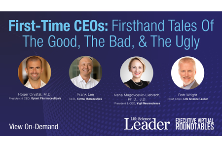First-Time CEOs Firsthand Tales Of The Good The Bad And The Ugly