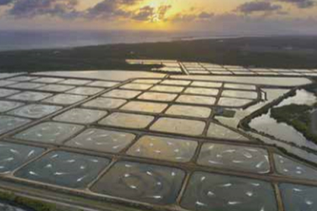 Reliable Aeration Offers Foundation For Growth And Sustainability At ...