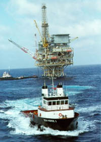 Marcon International, Inc.