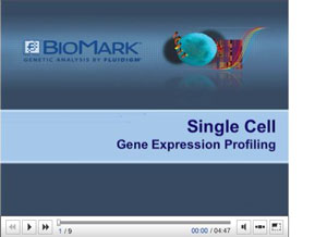 Comprehensive Introduction To Single Cell Gene Expression Profiling