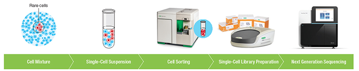 Identifying Heterogeneity Within Rare Cell Populations By Pairing ...