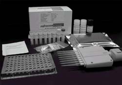DNA Damage Quantification Kit -AP Site Counting