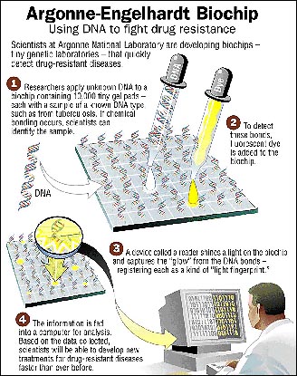 Argonne Begins Testing of TB Biochip