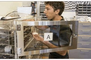 New 'Building Material' Points Toward Quantum Computers