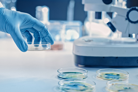 Sterile Filtration Solutions For Single-Use Bioprocessing Systems