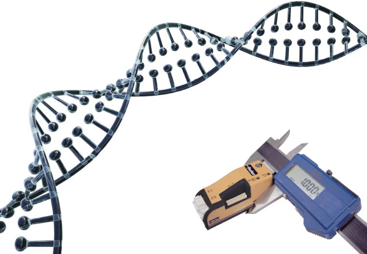Choosing The Right Linear Drive Train