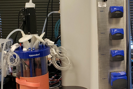 HEK293 Suspension Cell Culture Using The BioFlo 320 Bioprocess ...