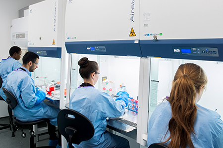 Single-Use Process Platforms Help Biomanufacturers Reduce Costs