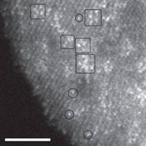Imaging A Catalyst One Atom At A Time