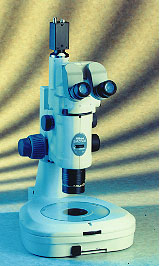Stereo Microscope