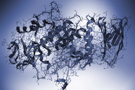 Molecular Mass Of Lysozyme Determined By Static Light Scattering