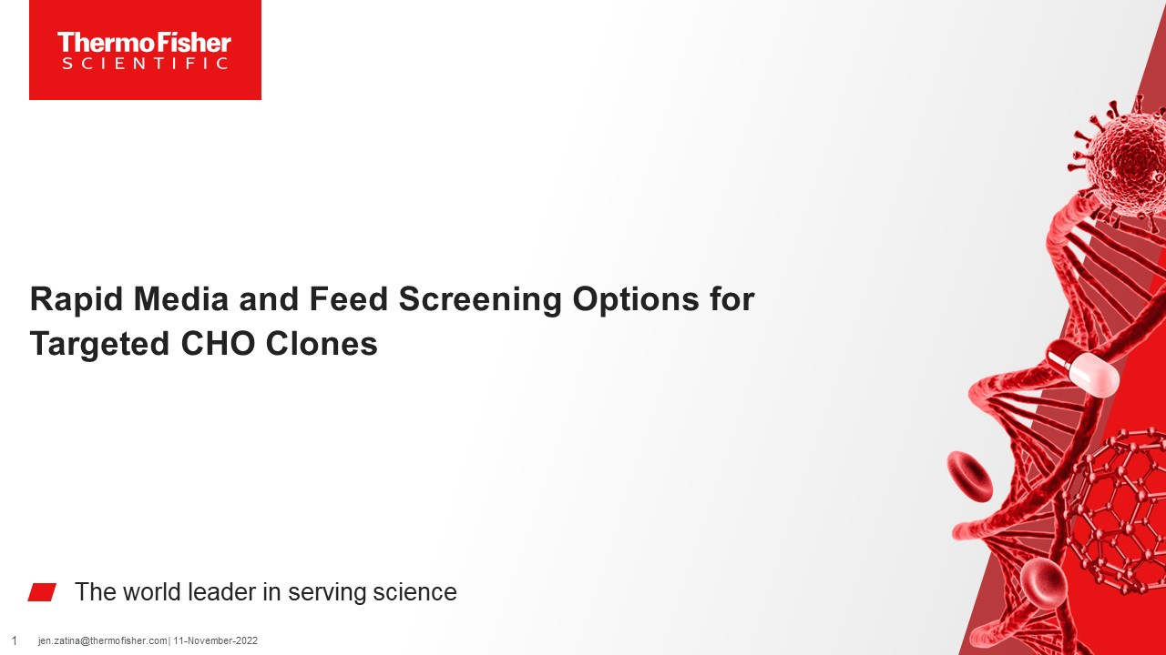 Rapid Media And Feed Screening Options For Targeted CHO Clones