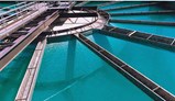 Reactor Clarifier™ Solids Contact Clarifiers