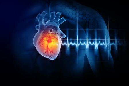 Searching For The Oasis In A "Cardiology Desert Insights And Solutions ...