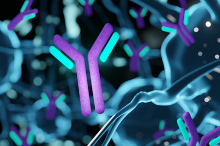 Improve Your Process Development To Accommodate Diverse mAbs