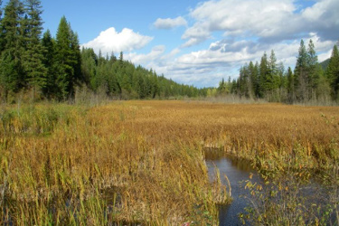 State Adopts Updated Colville River Watershed Plan