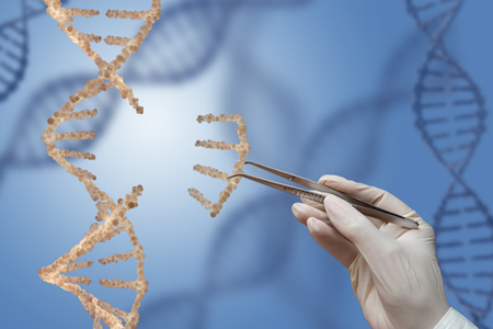 Enhancing Human Gut Tissue Models Through Gene Editing