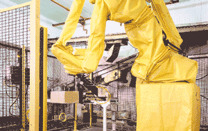 Palletizing in a Freezer Robot