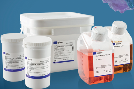 Maximizing Scale-Up Efficiency Of A mAb Upstream Process With The ...