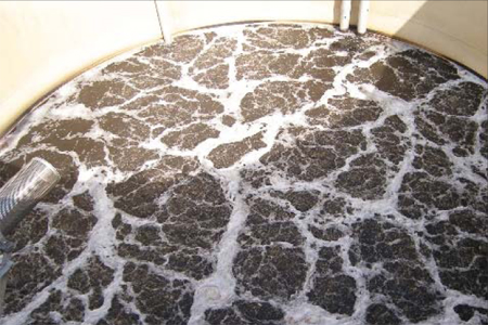 AnoxKaldnes MBBR Proves Effective At Asphalt Refinery