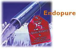 EndoPure