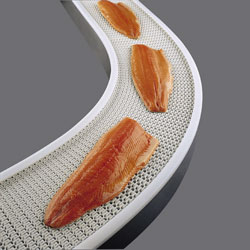 Intralox Series 2400 Radius belt