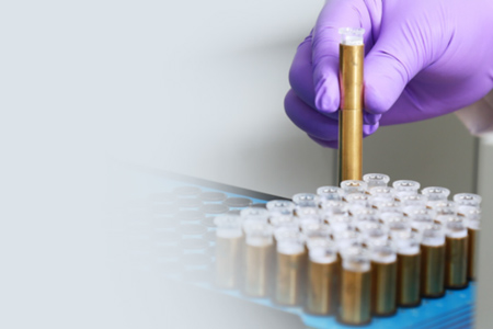 Delivering Pre-IND To IND Safety Studies In Just Three Months