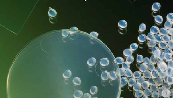 CarboSil Thermoplastic Silicone Polycarbonate Polyurethane (TSPCU)