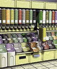 Bulk Food Storage and Dispensing System