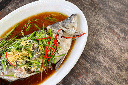 Researchers Find U.S. Freshwater Fish Are Highly Contaminated With PFAS