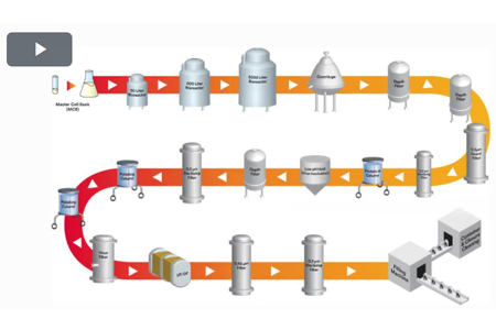 Developing Next Gen mAb Process Using 3M Solutions