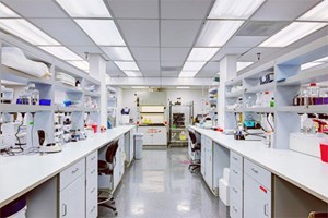 Outsourced Pharma, Contract Pharmaceutical, CRO, CMO, Pharmaceutical ...