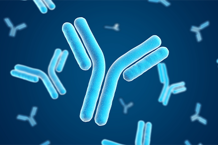 Integrated Upstream And Downstream Strategies For Robust mAb Manufacturing