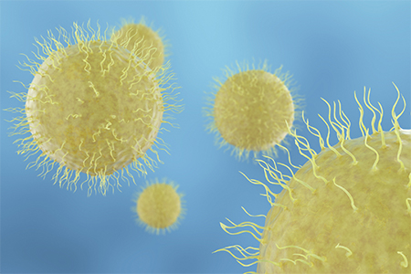 NK Cell Expansion Using Scale Up Bioreactors For Cell Therapy