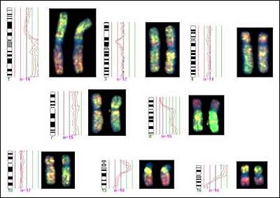 New Technologies Presented at ASHG Meeting