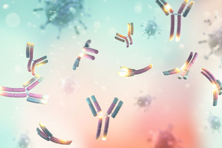 The Complete Guide To Antibody Conjugation