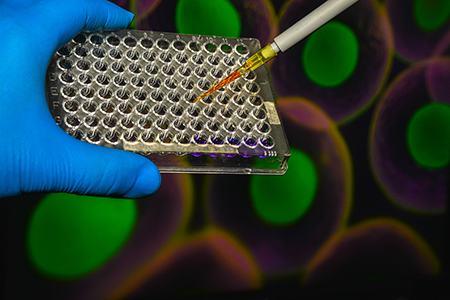 Intensified Seed Train Strategy For Faster Cost-Effective Scale-Up Of ...