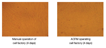 Use Of Nunc Cell Factory Equipment To Accelerate Workflows And Increase ...