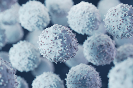 Gamma Delta T Cells Explained The Next Medical Breakthrough