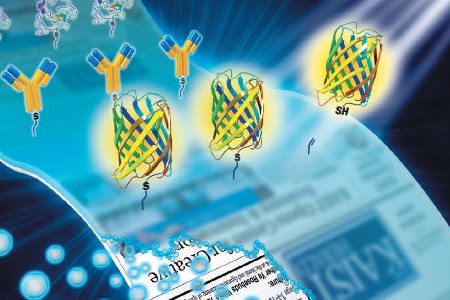 Biomedical Sensors For Disease Detection Made Simple