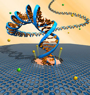 NHGRI Funds Development Of Third Generation DNA Sequencing Technologies