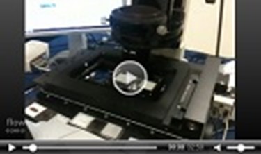 ASI MS-2000 High Speed Scanning Video