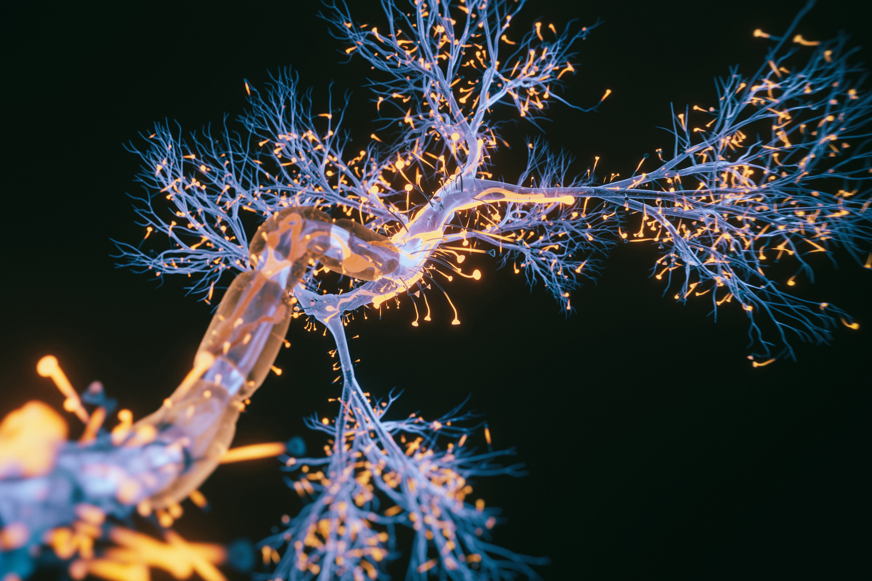 Implantable Fabrics Revolutionize Neurovascular Devices