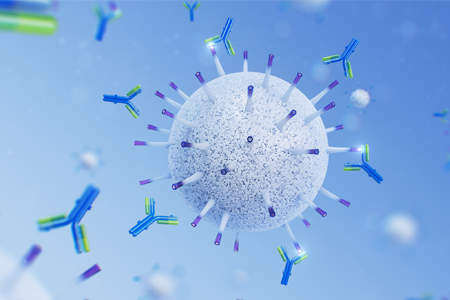 Product Transition Guide Legacy Protein A Resins To Praesto AP80