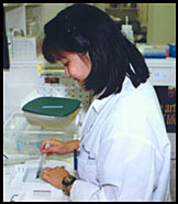 Genetic Stability Testing