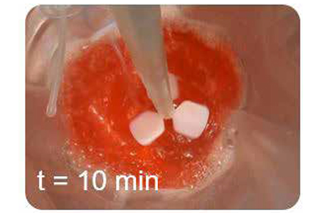 Mixing Efficiencies For The 50 L HyPerforma Single-Use Mixer