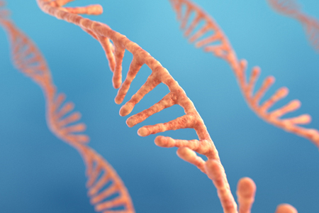 Expand Your Toolbox For Quality mRNA Manufacturing With SP6 RNA Polymerase