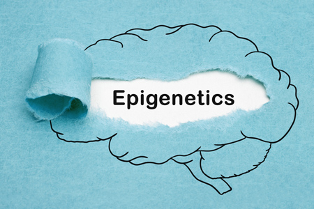 A Brief Overview Of Epigenetics