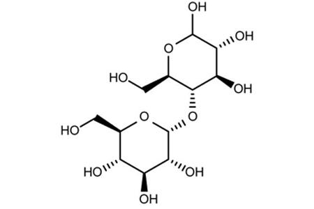 Maltose: Stabilize Intravenous IG Infusions