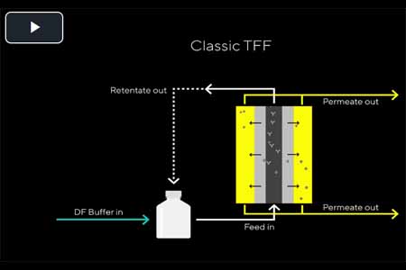 Simplify And Streamline Processing With SPTFF
